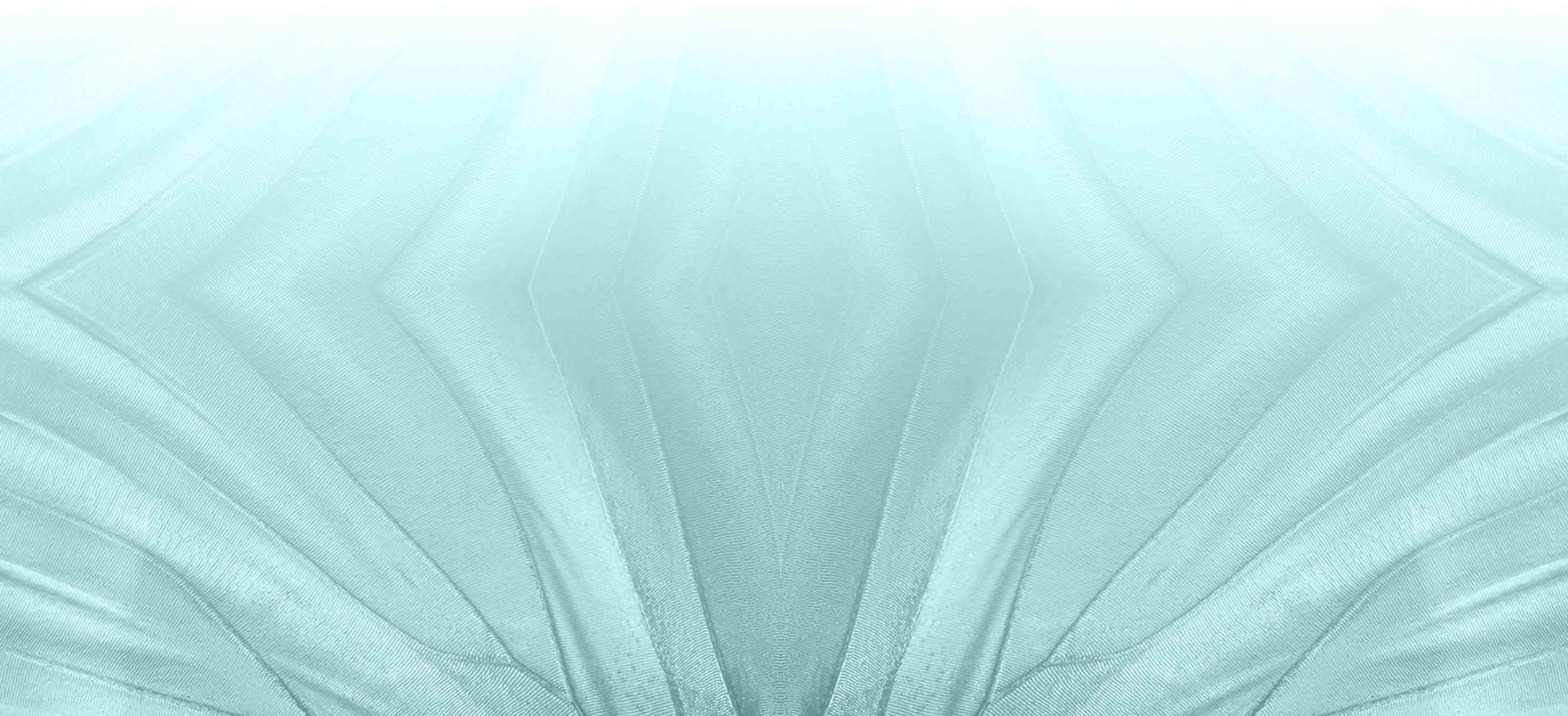 Top Plastic Surgeon Kansas City | Monarch Plastic Surgery